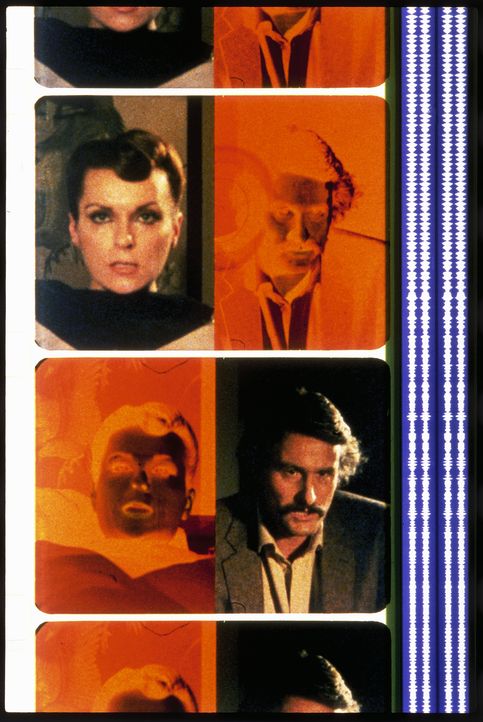 Media Center+ The Generali Foundation's Film and Video Collection ...